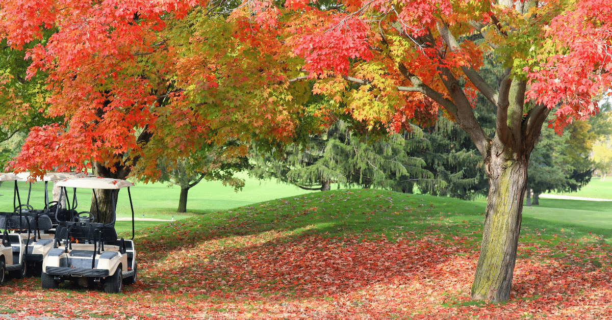 Golf Tips for Fall: How to Adjust for Cooler Weather